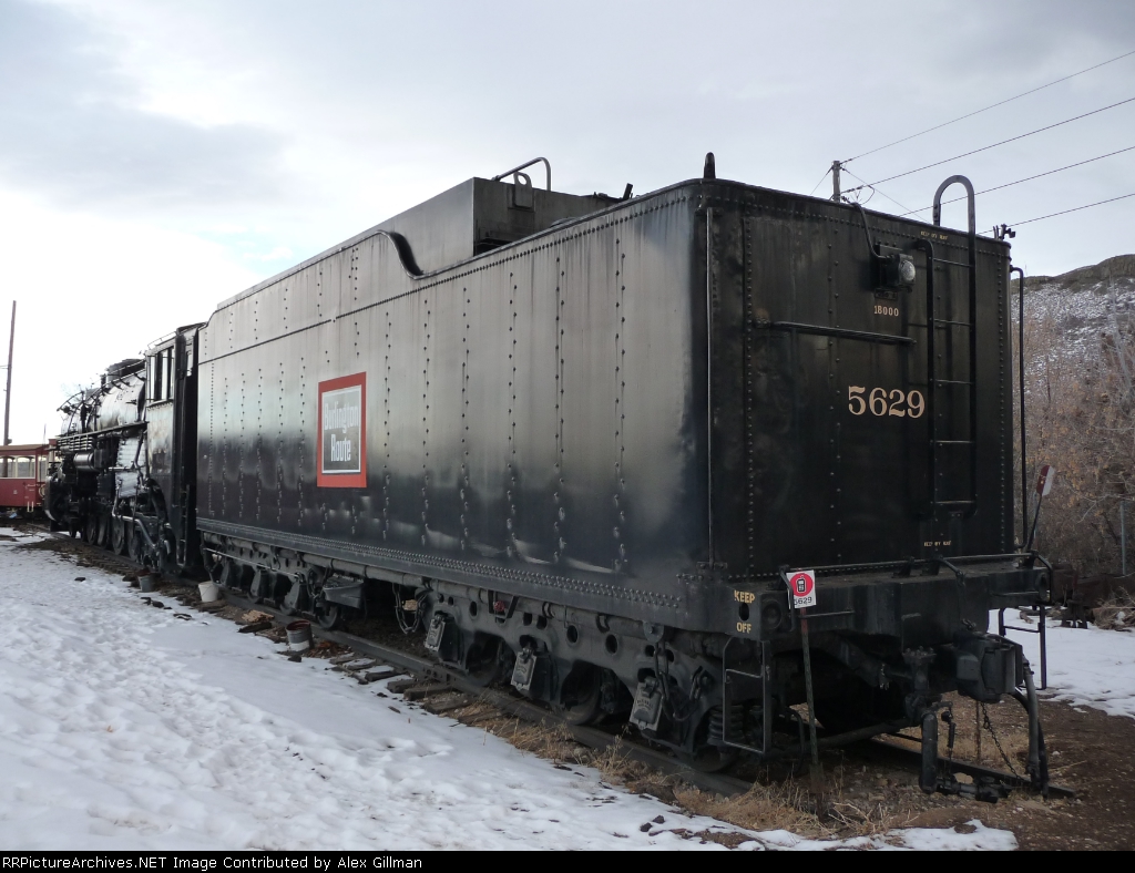 CBQ 5629 Tender Shot